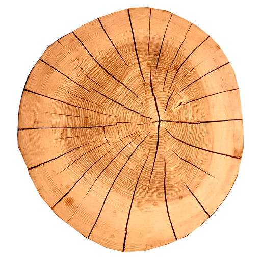 Træstubbe - Douglasgran